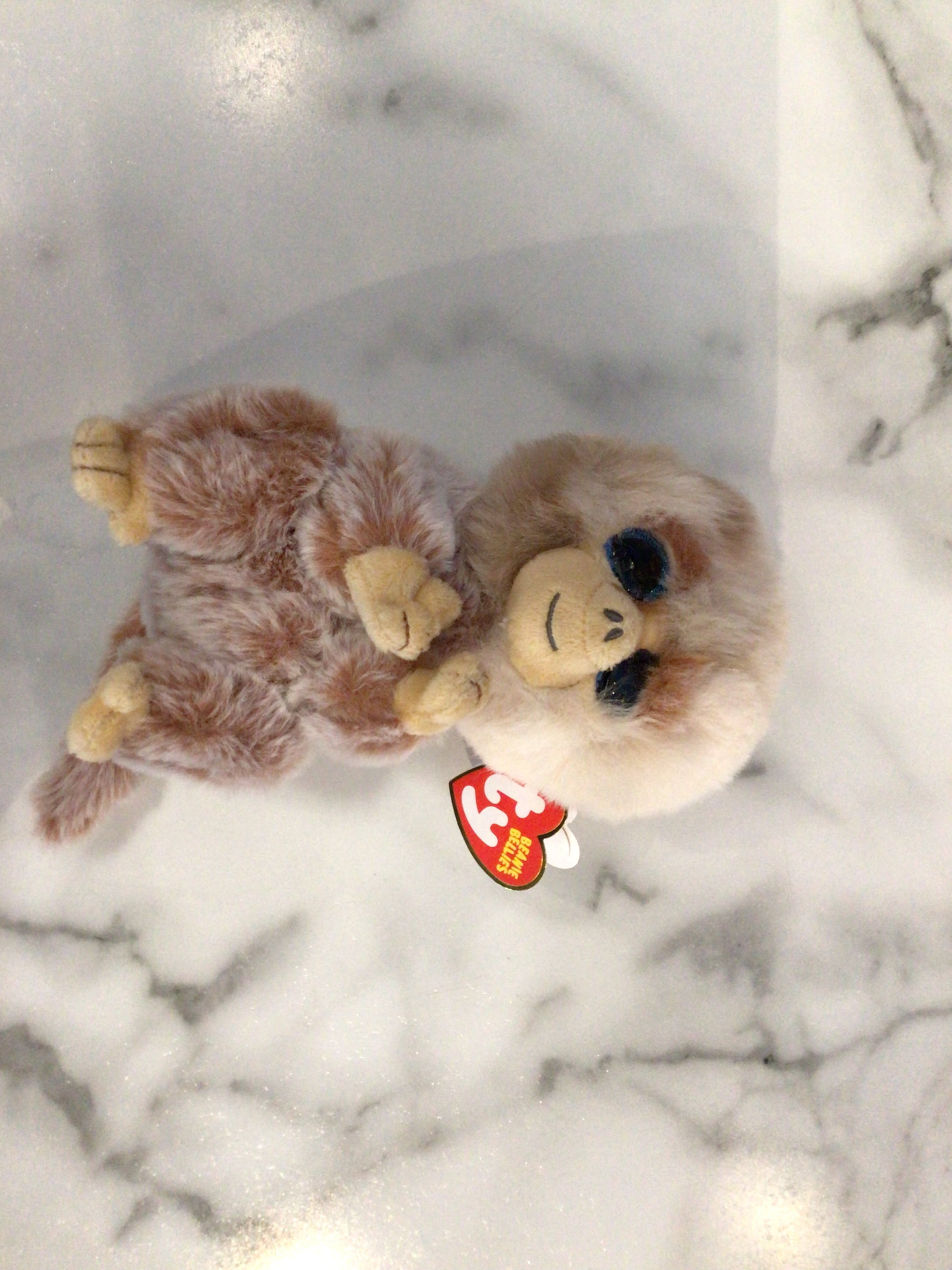 Stubby Ty Beanie Boo – PoppedCorn LLC